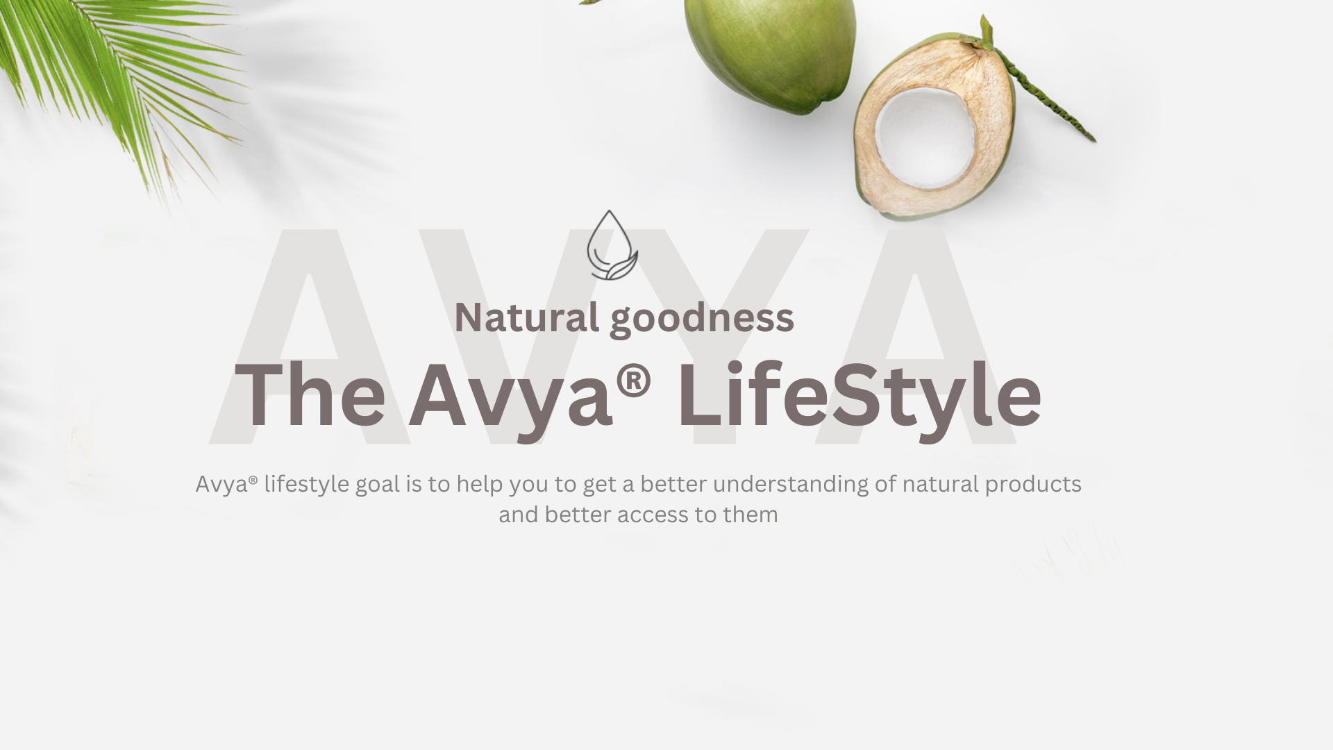 Avya Lifestyle